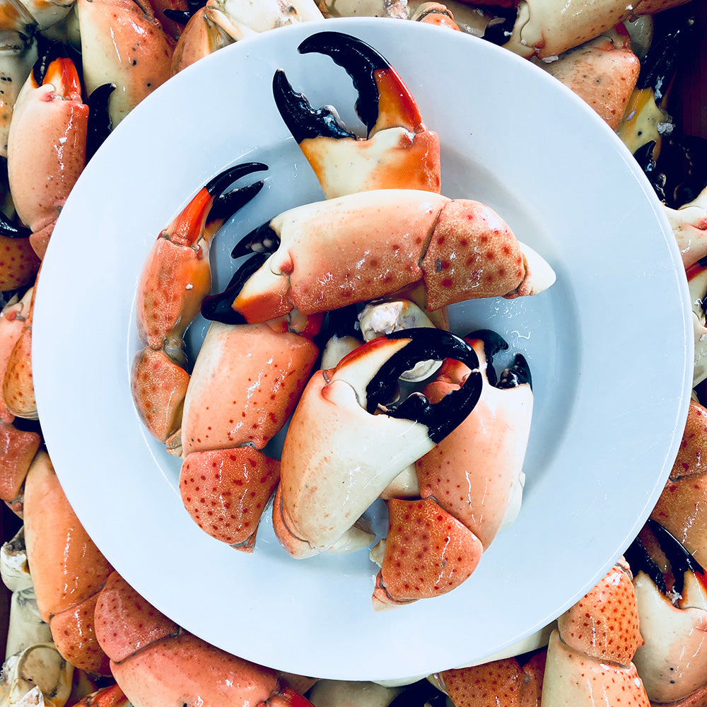 Dimensions Of A Stone Crab Red King Crab Species Profile, Alaska